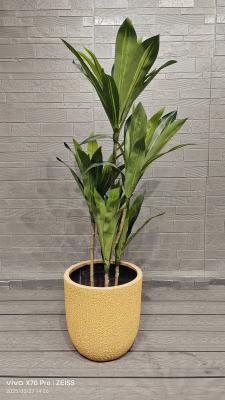 China Yellow Honeydew Melon Rind Patterns Round Fiber Clay Planter Gardens Landscaping Project for sale