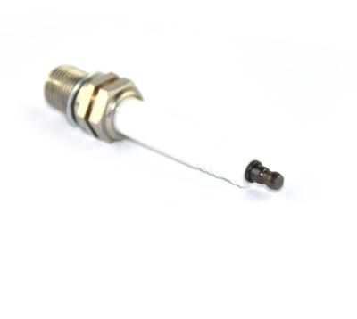 China Bujía R1B12-75 del generador de Beru Stit Jenbacher del campeón en venta