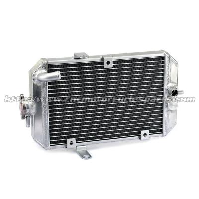 Cina Quad i radiatori delle parti ATV della bici con Gap per YAMAHA YFM660R YFM700R YFM 660R/700R in vendita