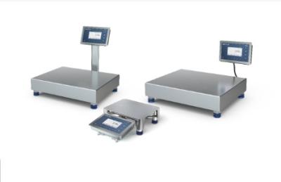 China Hygienic Bench Scales – IP69K Rated Stainless Steel Design for Sanitary Environments for sale