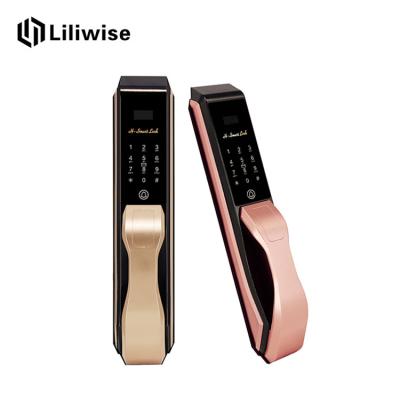 China Fast Open Super Convenient Total Automatic Smart Door Lock with Hidden fingerprint reader for sale