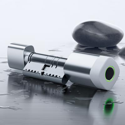 China Liliwise Fingerprint RFID Card Waterproof Door Lock Adjustable WiFi BLE Tuya Ttlock Smart Cylinder Lock for Replacing Old Mechanical for sale