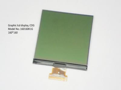 Cina Tipo transflective esposizione LCD grafica con risoluzione 160*160, modulo di FSTN dell'affissione a cristalli liquidi del DENTE in vendita