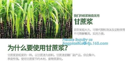 중국 eco 사탕수수 펄프 버릴 수 있는 미생물에 의해 분해된 플레이트, 공장 100% 미생물에 의해 분해된 버릴 수 있는 사탕수수 종이 원료 Com 판매용