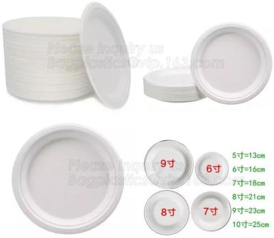 Chine Pulpe compostable biodégradable de canne à sucre de 100% empaquetant la plaque à papier jetable à vendre