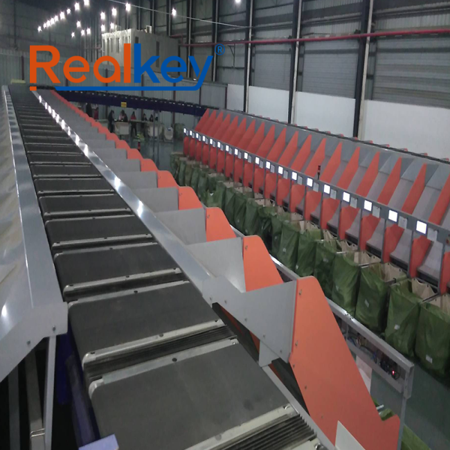 Realkey Cross Belt Sorter in operation
