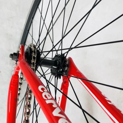 중국 12KG 700C 싱글 스피드 트랙 알루미늄 프레임 고정 기어 자전거 탄소 섬유 포크 판매용