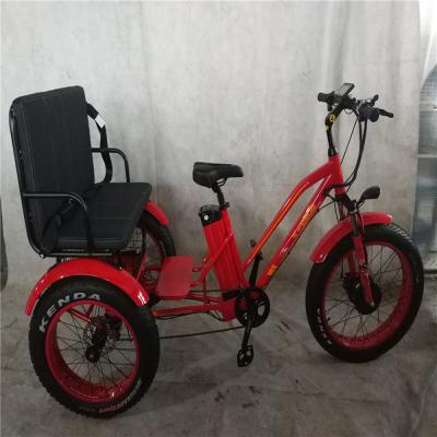750W 중앙 모터 지방 타이어 알루미늄 운반기 및 승객 좌석과 함께 전기 리크샤