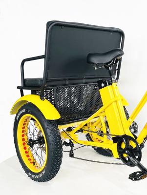 24-Inch Snow Fat Tire 4.0 Electric Rickshaw Tricycle with 48V 750W Motor and