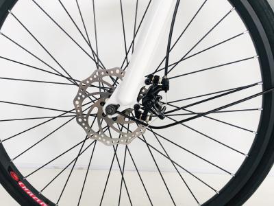 Κίνα 28 ιντσών ποδήλατο πόλης 36V250W μπαταρία λιθίου 14AH EN15194 EN15194 για γυναίκες Lady ΗΠΑ Ευρώπη προς πώληση