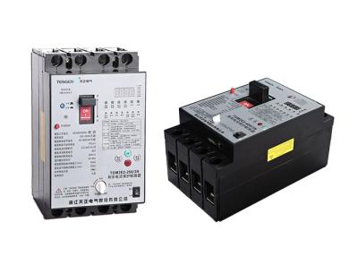 Cina interruttore ELCB MCCB 3 Palo TGM2E di dispersione verso terra di caso modellato 250A 125A in vendita