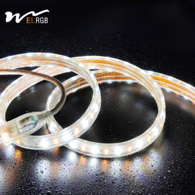 Cina 110V 220V LED Strip Light Outdoor Waterproof Dual Color White and Warm White Competitive in vendita