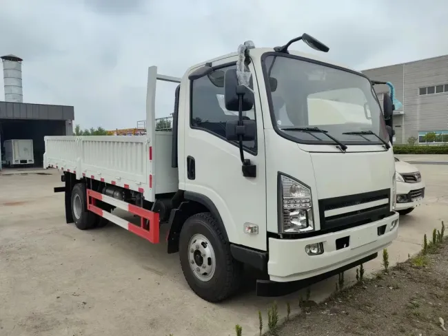 Low Price Sale Light Duty 4X2 Cargo Box Van Truck Transport Lorry Truck Hot Sale