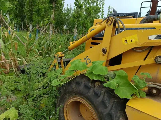 Wz30-25 Mini Skid Steer Loader Front Loader with Core Components Engine Motor Gearbox Pump