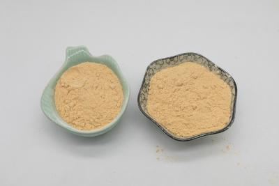 中国 Hydrosolubleエネルギー飲み物プロダクトのための有機性野菜蛋白質の粉 販売のため