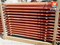 Quality H Type Painted Seamless Steel ASME SA213 TP304 Square Tube For Seawater Desalination for sale