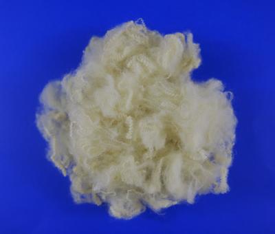 Cina Fibra di graffetta di poliestere funzionale di buona elasticità 10D*76MM per la filatura/ora tessuti in vendita