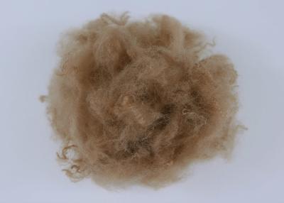 China Lackieren Sie gefärbte Kaffee-Farb-Polyester-Spinnfaser aufbereitetes 1.5D*38MM zu verkaufen