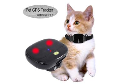 Cina Inseguitore dell'animale domestico di Wifi del Geo-recinto di Ariza, inseguitore in tempo reale dei Gps per i cani in vendita