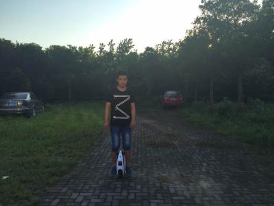 China 12 duim Gyroscopische Elektrische Unicycle Één Wieltribune op Autoped, Snelheid 20Km/h Te koop