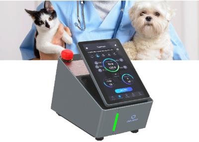 Cina Trattamento portatile del laser della classe 4 della macchina 980nm di terapia laser del cane in vendita