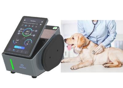 Cina lunghezza d'onda veterinaria 650nm della macchina quattro di terapia laser 980nm in vendita
