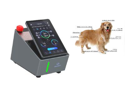 Cina Livello professionale 4 980nm di modo di CW dell'attrezzatura del laser dei cani in vendita