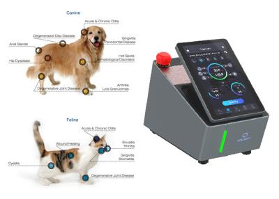 Cina Classe indolore quattro 810nm della macchina veterinaria di terapia laser del CE in vendita