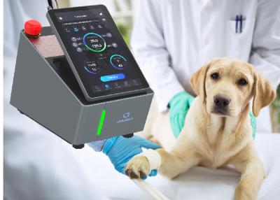 Cina Macchina equina di terapia laser Livello quattro indolore 8 watt in vendita