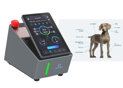 Cina la macchina veterinaria di terapia laser 980nm classifica la terapia di riabilitazione del laser IV in vendita