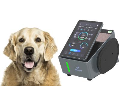 Cina attrezzatura veterinaria di terapia laser 650nm in vendita