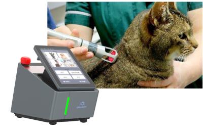 Cina macchina di terapia laser dell'animale domestico 8W per le circostanze croniche acute in vendita