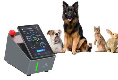 Cina trattamento della malattia neuromuscolare della macchina veterinaria di terapia laser 200mW in vendita
