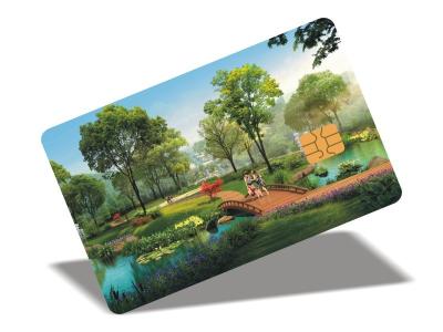 China PVC Offset Printing Contacted Encrypted Logic Card Anticollision AT88SC0104C IC Type for sale