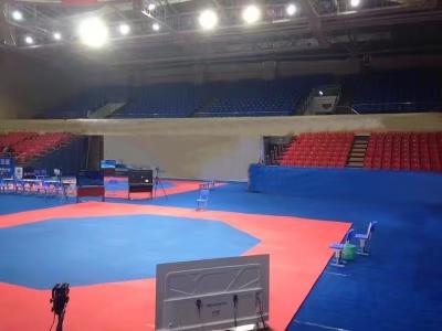 Cina Interlocking Shockproof Martial Arts Mat per la formazione al Taekwondo in vendita
