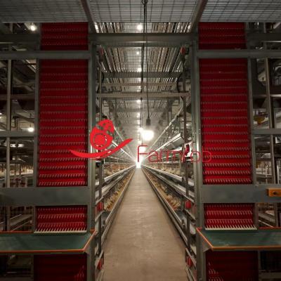 China Precisie-ontworpen Laagkippenkooisysteem met Comfortabele Leefomgeving Te koop