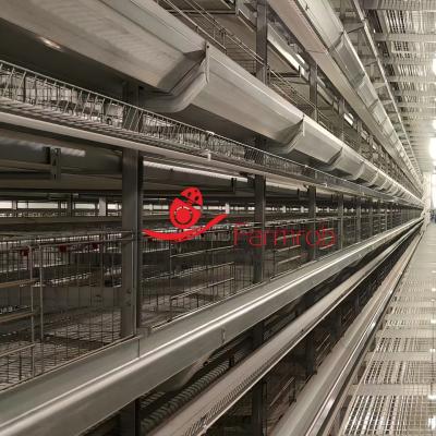 Cina Progettazione automatica del sistema di gabbia di pollo a livello di generazione commerciale in vendita
