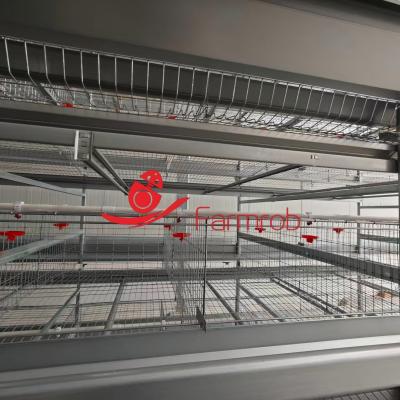 China 3-12 Tiers H Type Layer Chicken Cage System with 1260*650*450 and 1800*650*450 Cage Sizes for Stable Egg-Collection for sale