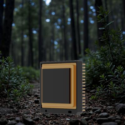 China RTD3122CH Uncooled Infrared Detector Infrared Thermal Detector for 384x288 Resolution Night Vision Devices for sale