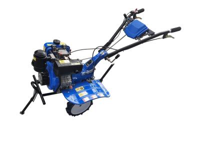 Cina diesel d'aratura della macchina 4.05KW dell'attrezzo di agricoltura 173F in vendita