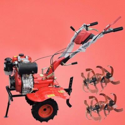 Cina macchina diesel dell'attrezzo di agricoltura di 173F 80KG 6HP per la fabbricazione del Alant in vendita