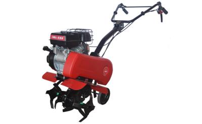 Cina Macchina rotatoria dell'attrezzo del coltivatore della benzina dell'attrezzo 156F di potere di 2.4HP 1.8KW in vendita