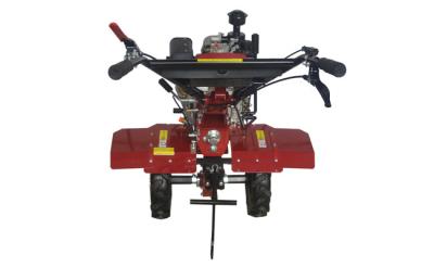 Cina Benzina diretta rossa della trasmissione dell'ingranaggio della macchina 170F dell'attrezzo di agricoltura 4.0KW in vendita
