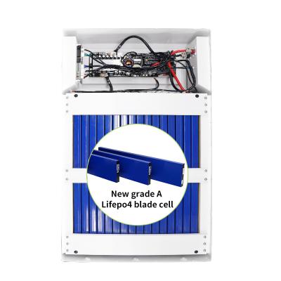 중국 48V Lithium Iron Phosphate LiFePO4 Solar Battery Smart BMS 8000 Times Cycle 판매용