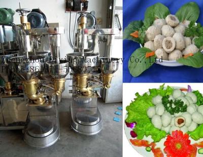 中国 10 匹の自動魚肉の球の圧延機 販売のため