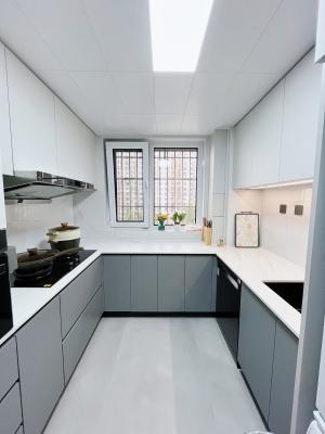 Ensemble d'armoires de cuisine peintes pour un entretien sans effort pour appartement