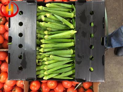 Cina Scatola di plastica ondulata riutilizzabile impermeabile 1800gsm di stampa UV in vendita
