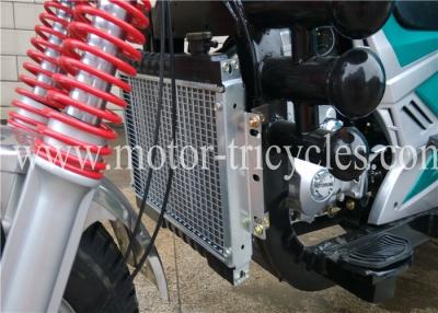 Cina Camion 3050mm x 1210mm x 1350mm di Trike del triciclo della benzina della ruota del professionista 5 in vendita