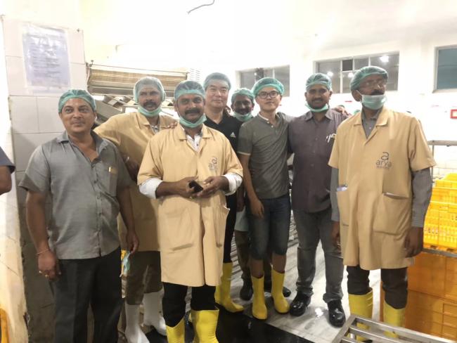 Shrimp Screening Machine