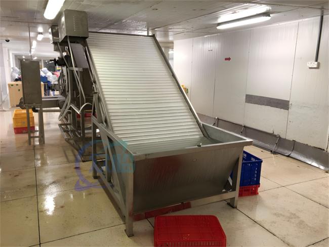 Shrimp Screening Machine